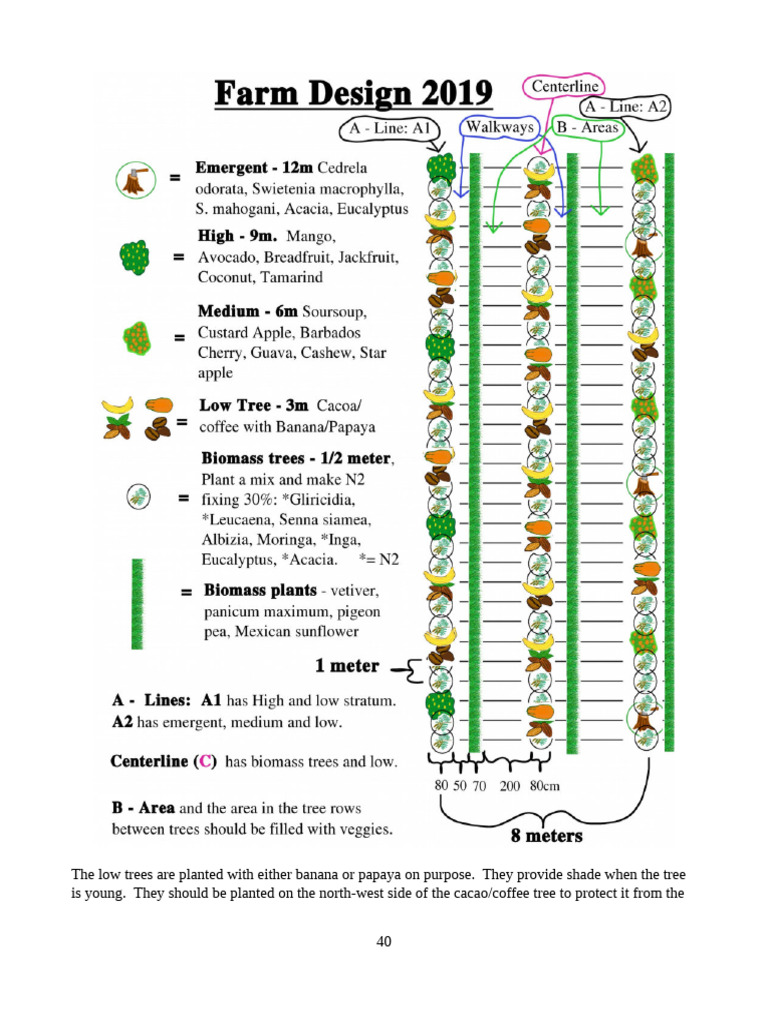 Abundance Agroforestry A Syntropic Farming Guidebook 6 Pages | PDF