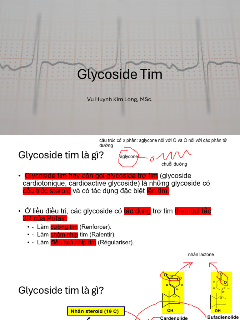 Glycoside Tim | PDF
