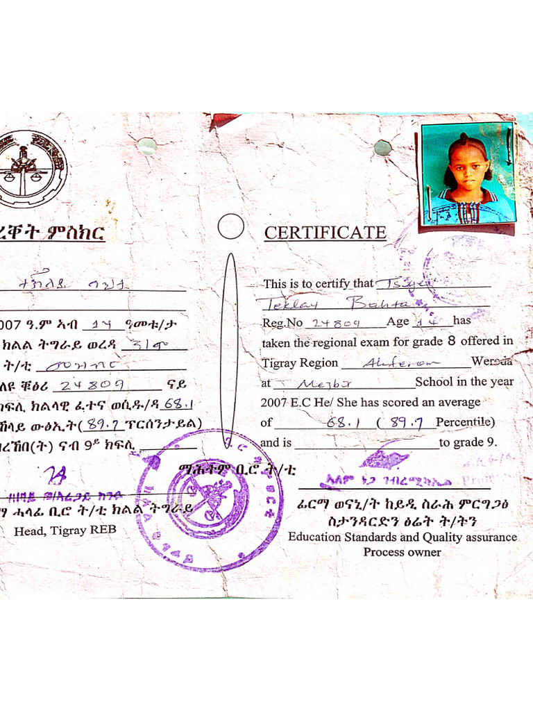 .Trashed-1706600705 - Tsige | PDF