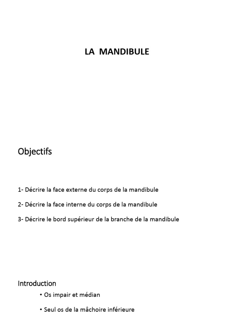 01 Mandib | PDF