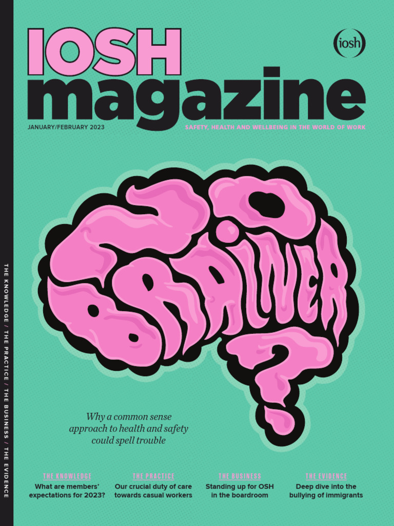 Common Sense in Health and Safety Issues | PDF | Occupational Safety ...