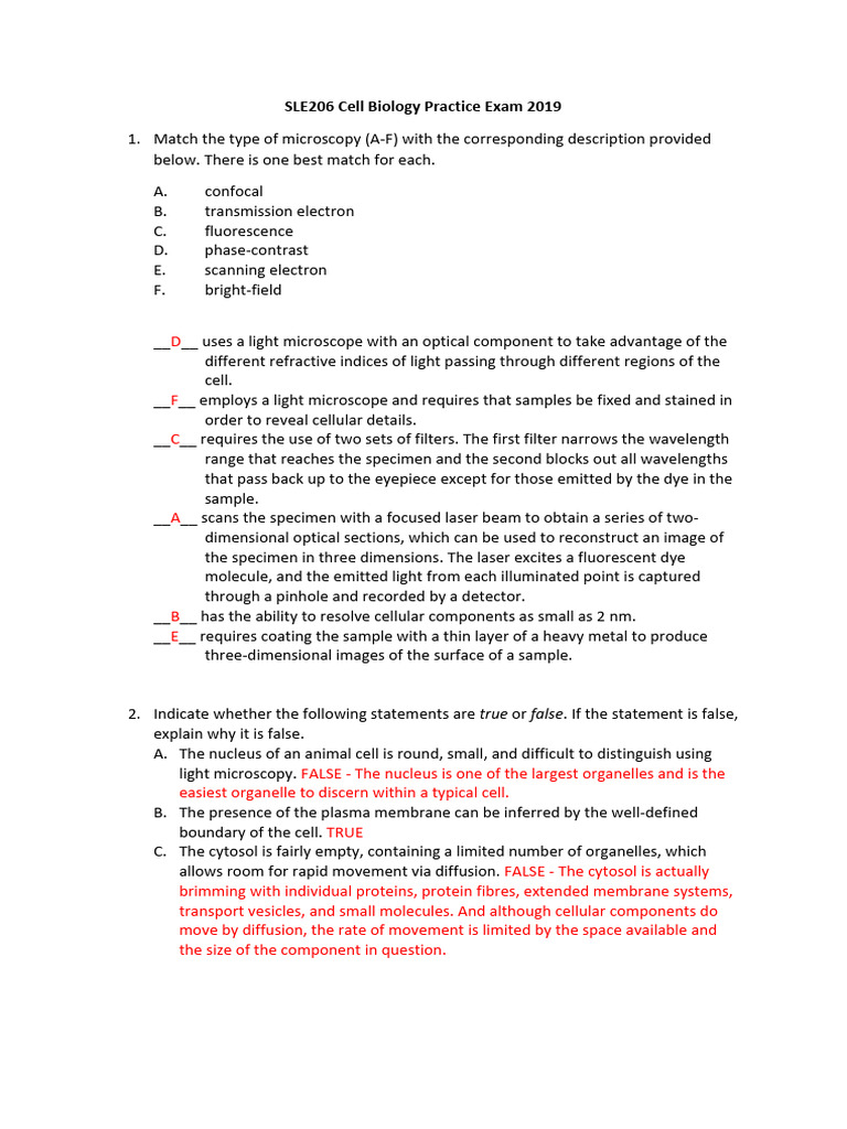 SLE206 Cell Biology Practice Exam 2019 - ANSWERS | PDF | Cell Membrane ...
