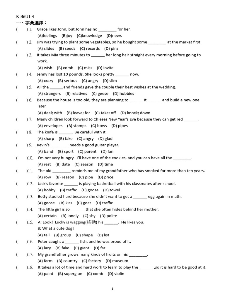 Vocabulary and Grammar Practice | PDF | Mouse | Lego