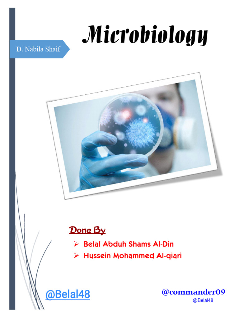 Microbiology Summary | PDF