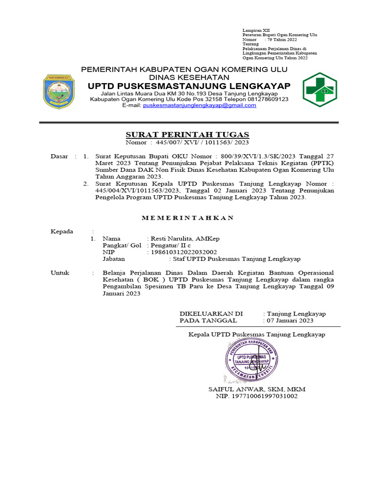 Surat Tugas TB Paru | PDF