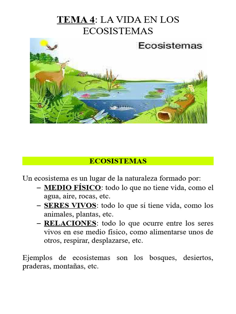 Resumen Cono Tema 4 | PDF