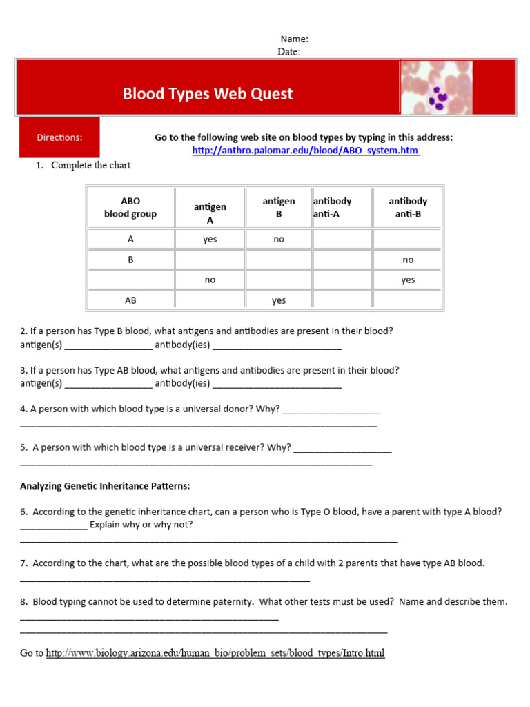 Blood Typing Game | PDF | Blood Type | Serology