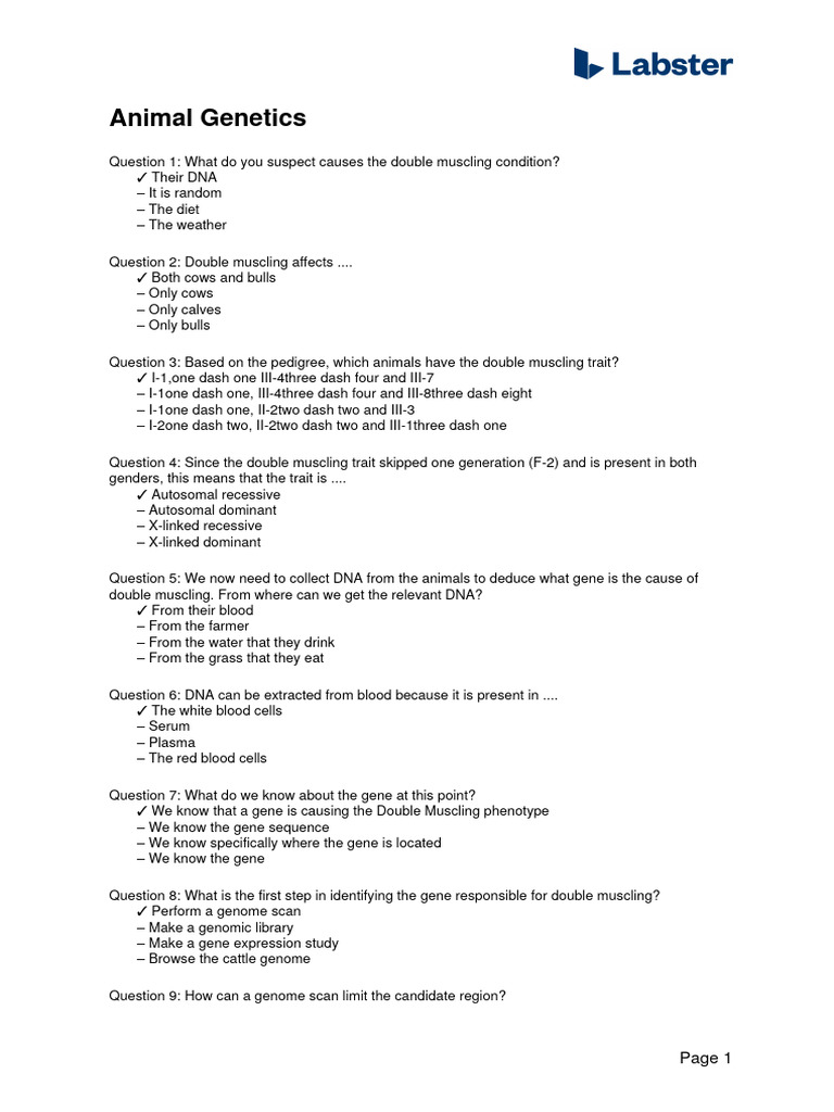 Questions Animal Genetics | PDF | Primer (Molecular Biology) | Zygosity