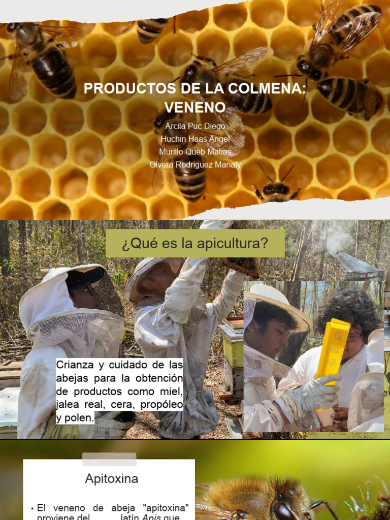 Productos de La Colmena Veneno | PDF