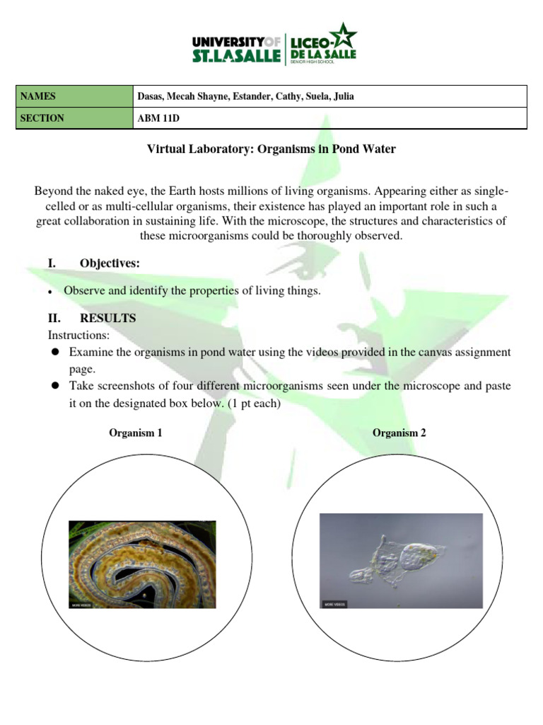 VLab. Properties of LIfe Dasas Estander Suela | PDF | Life | Organisms