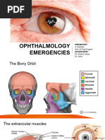 Cow Eye Dissection Lab Report | PDF | Eye | Human Eye