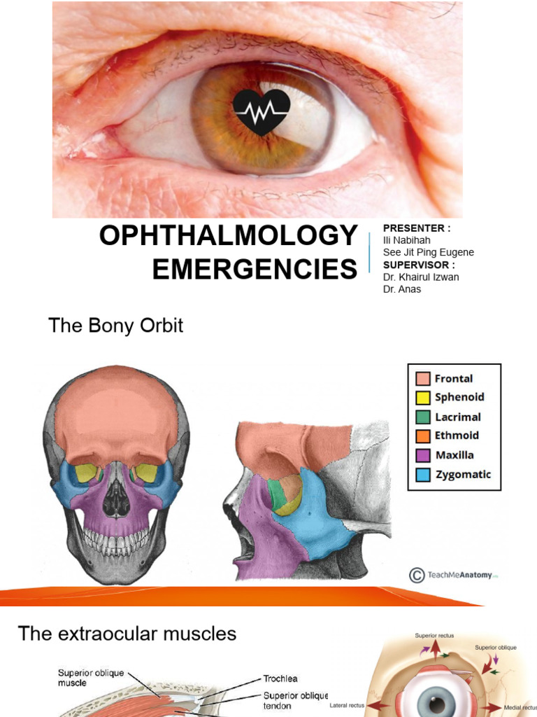 Ophthalmology Emergencies | PDF | Human Eye | Glaucoma