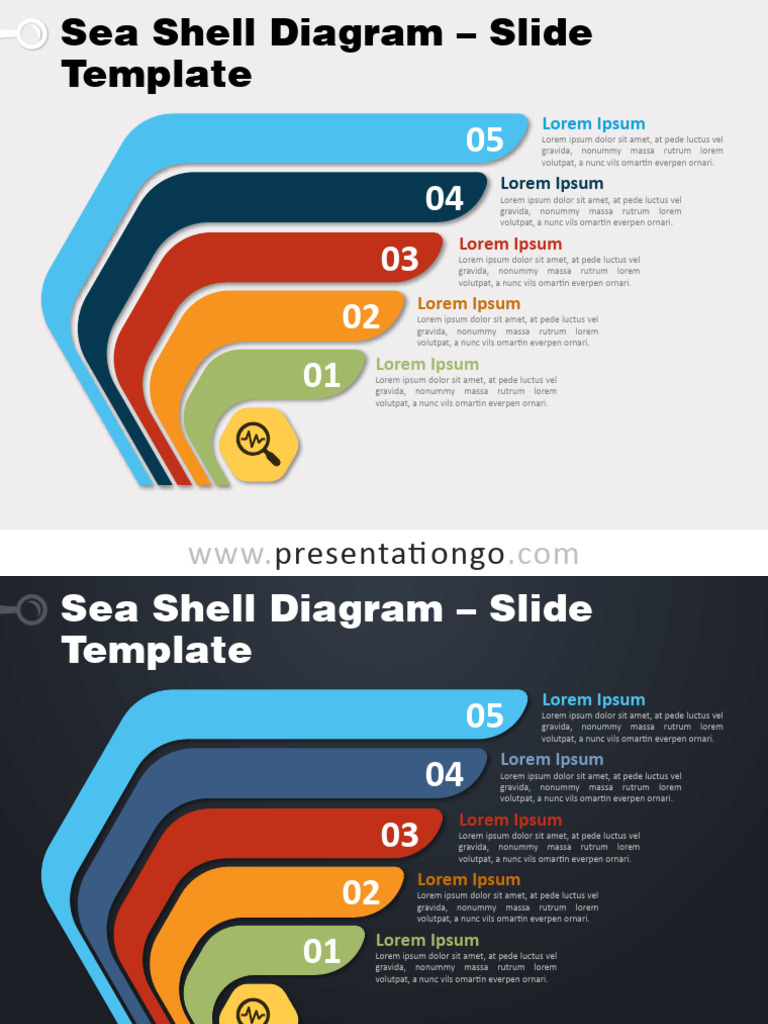 2 0072 Sea Shell Diagram PGo 4 3 | PDF