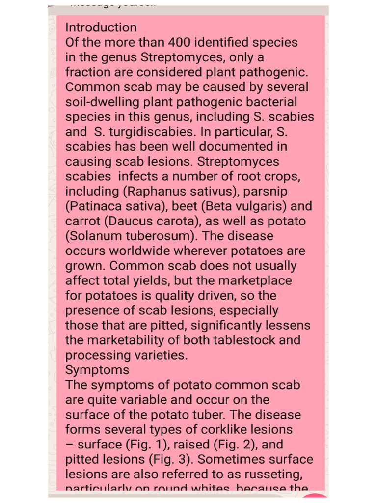 Applied Notes Common Scab Topic | PDF