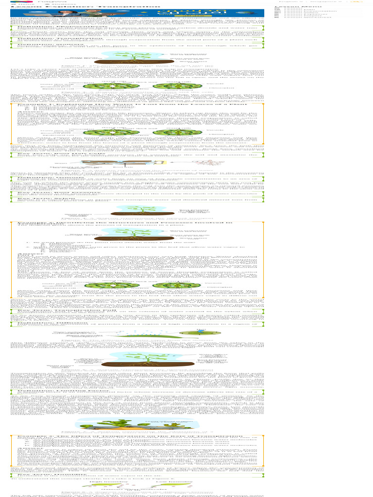 Lesson Explainer Transpiration Nagwa | PDF | Stoma | Leaf