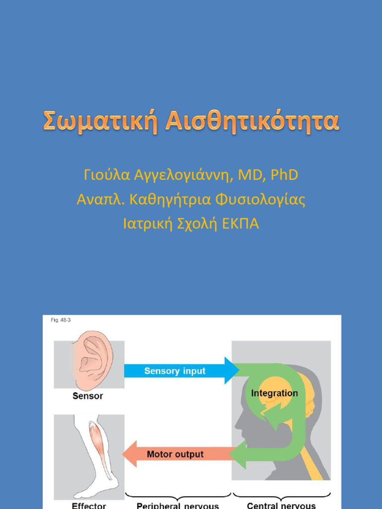ΣΩΜ ΑΙΣΘΗΤΙΚΟΤΗΤΑ 2023 | PDF