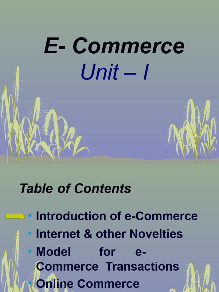 E-Commerce UNIT 1 | PDF | Online Shopping | E Commerce