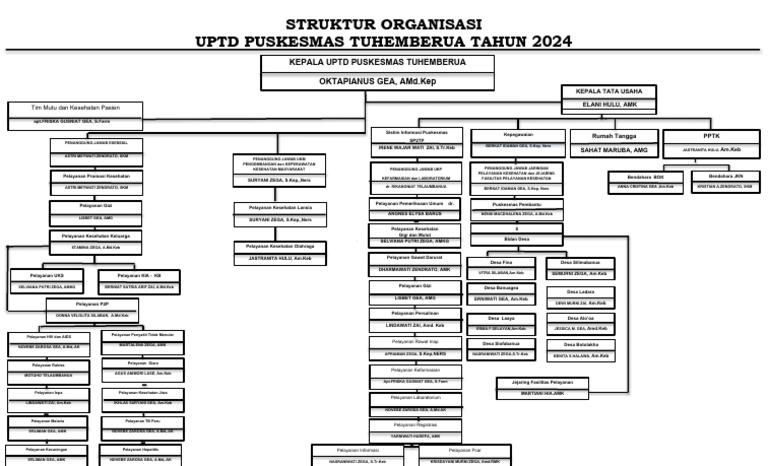 Struktur Organisasi Uptd Puskesmas Tuhemberua | PDF