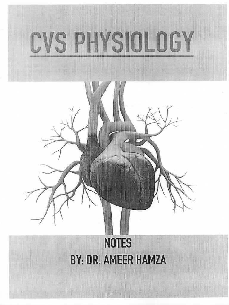 CVS | PDF