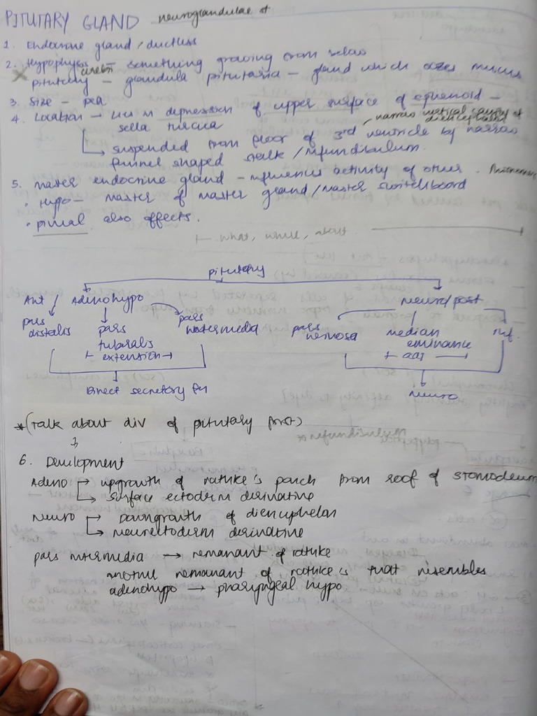 Unreadable Document Text | PDF | Science & Mathematics
