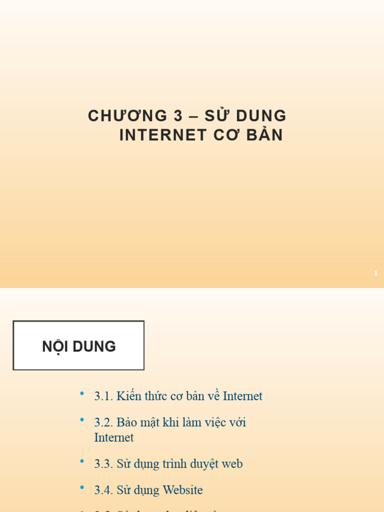 Bai3 Internet | PDF