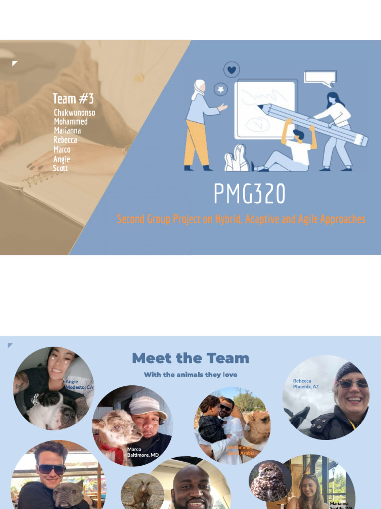 PMG 320 Final Project Team 3 | PDF