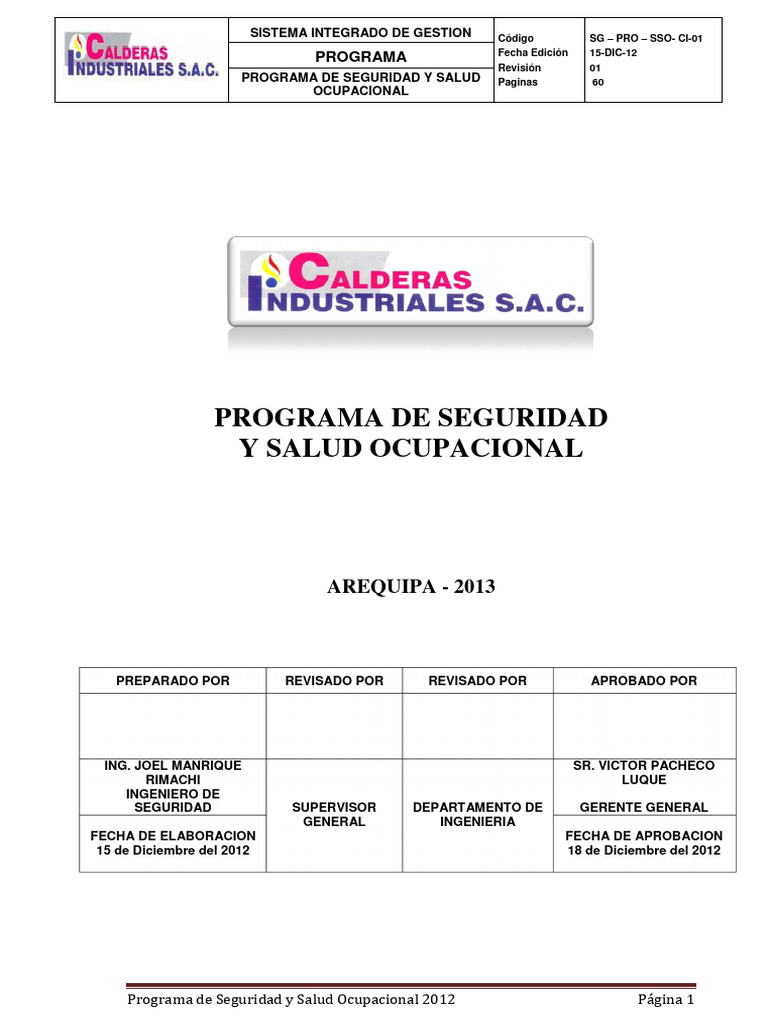 Programa de Seguridad y Salud Ocupacional 2012 | PDF | Seguridad y ...