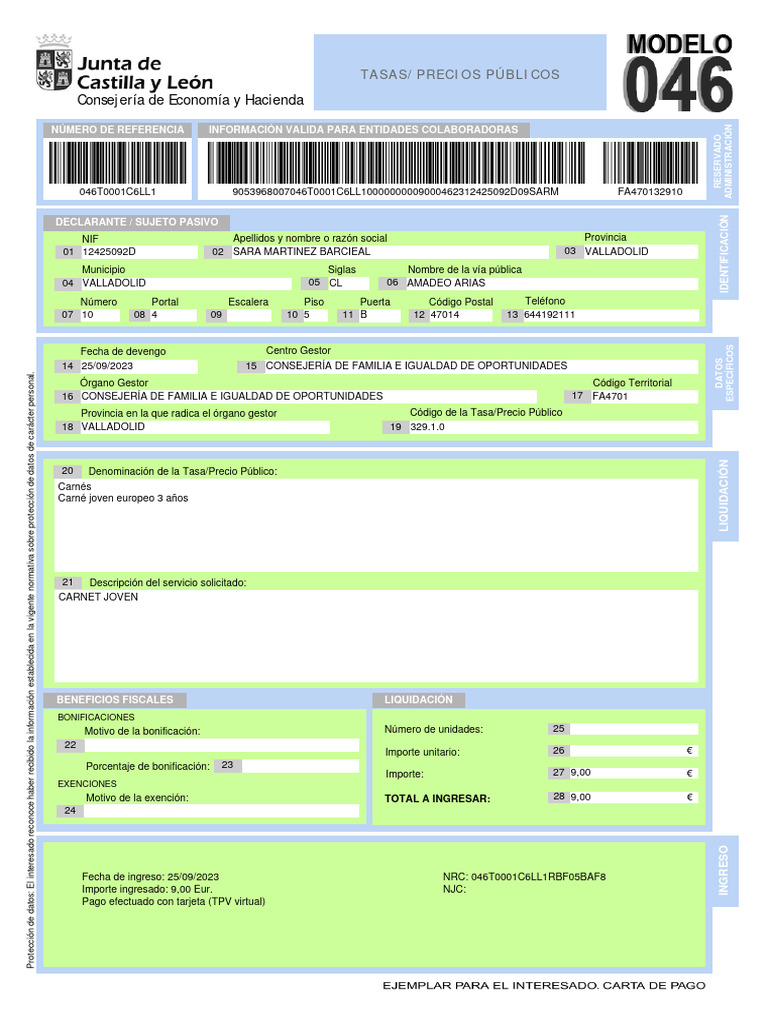 Modelo 046 Pago Carnet 3 Años | PDF