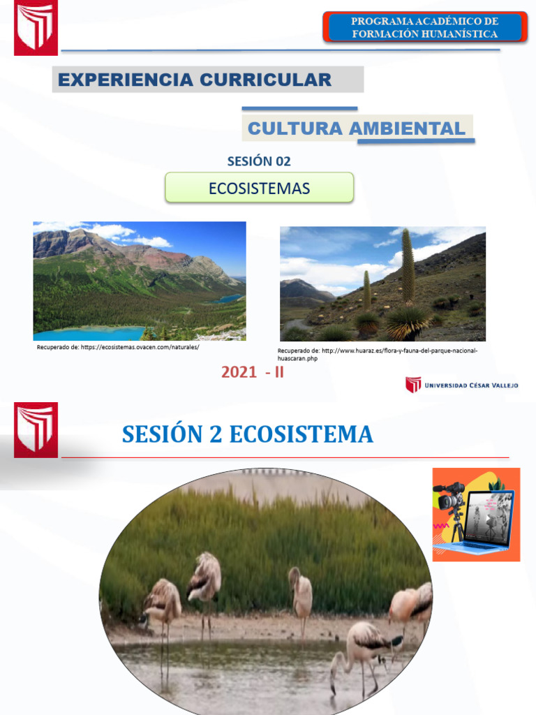 Experiencia Curricular: Cultura Ambiental | PDF | Ecosistema | Entorno natural