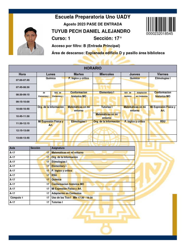 Pase Identificacion | PDF