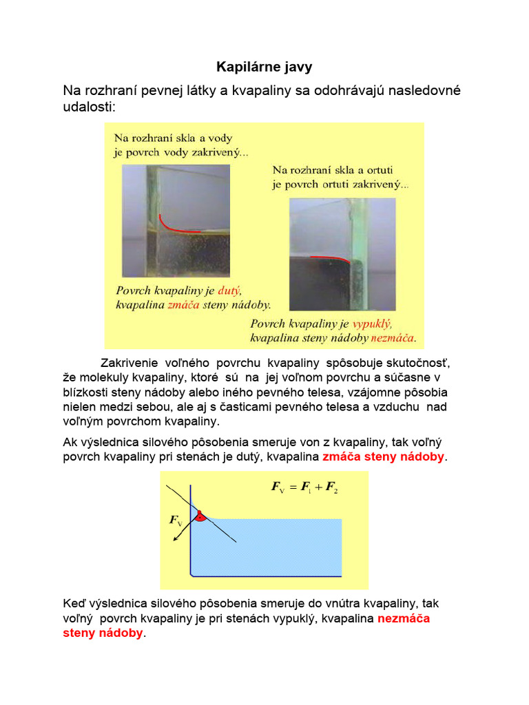 66 - Kapilárne Javy | PDF