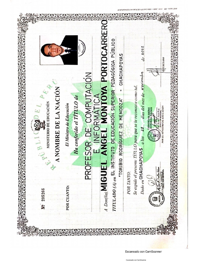 CV - Miguel Angel Montoya Portocarrero | PDF