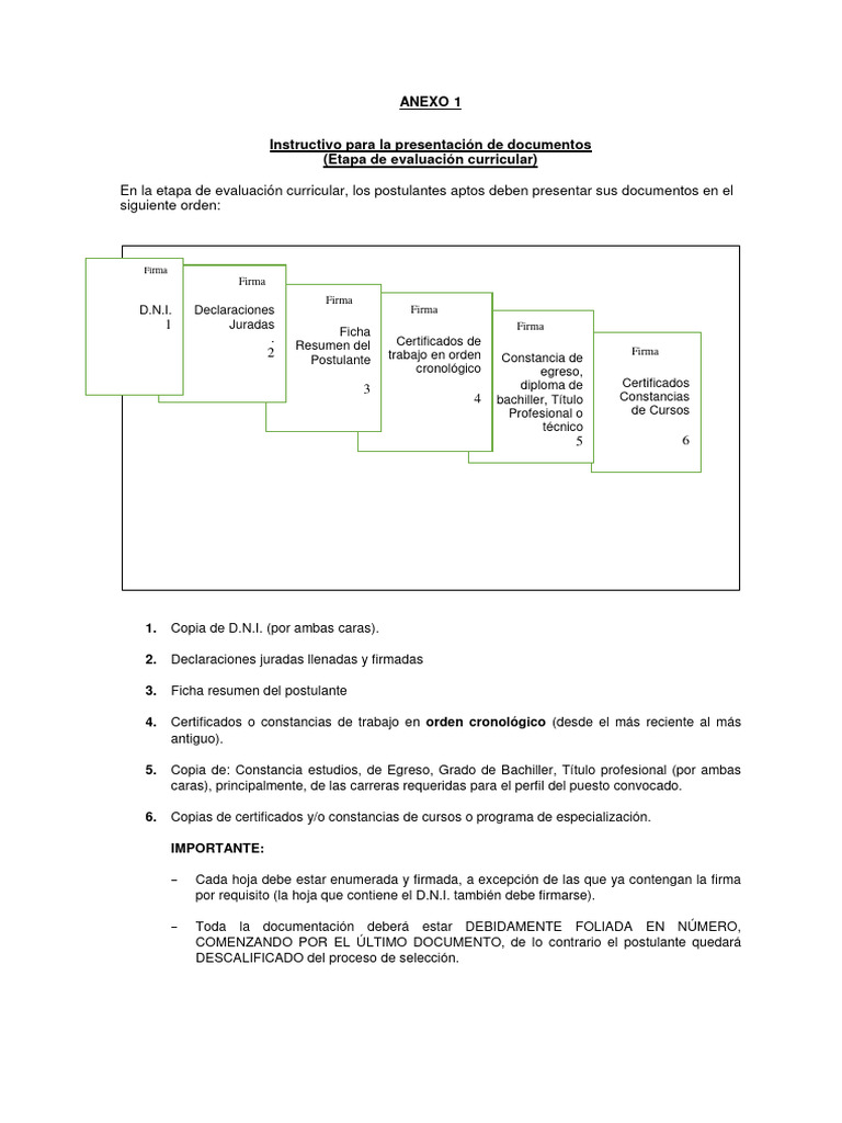 Anexo 1 Instructivo | PDF