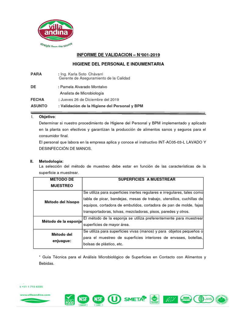 Informe Validacion N°001-2019 BPM | PDF
