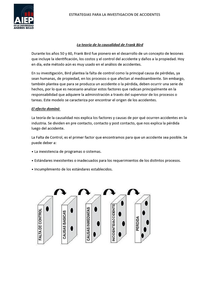 La Teoría de La Causalidad de Frank Bird | Descargar gratis PDF ...