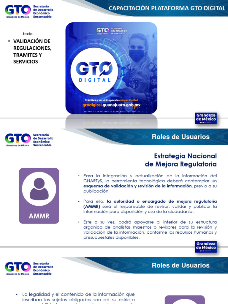 6 Capacitacion GTO DIGITAL VALIDACION DE RTyS Mayo2022 | PDF