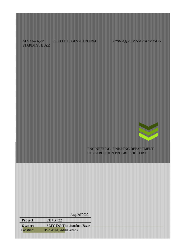 Construction Project Progress Report August 2 | PDF | Basement ...
