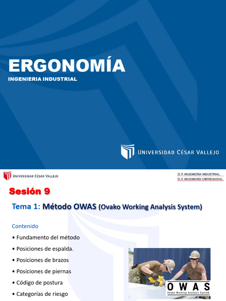 Sesión 09 Métodos OWAS-NIOSH | PDF | Factores humanos y ergonomía | Frecuencia