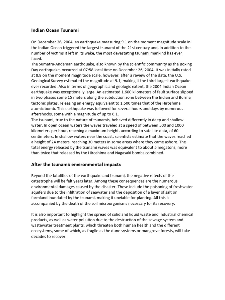 Indian Ocean Tsunami | PDF | Earthquakes | Tsunami