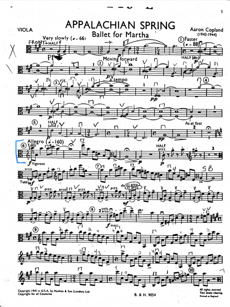 Viola | PDF