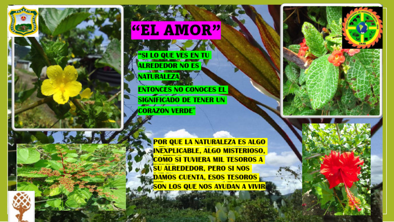 Desarrollo Personal Bildad Pimente 11-04-22 | PDF