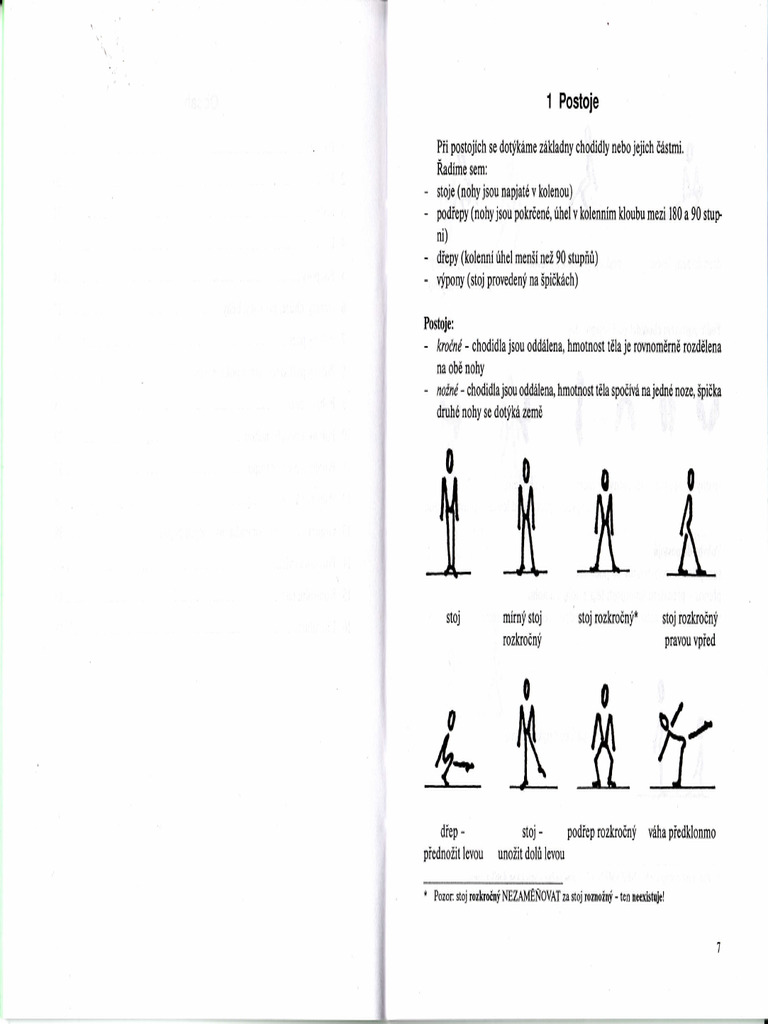 Nazvoslovi Gymnastika | PDF