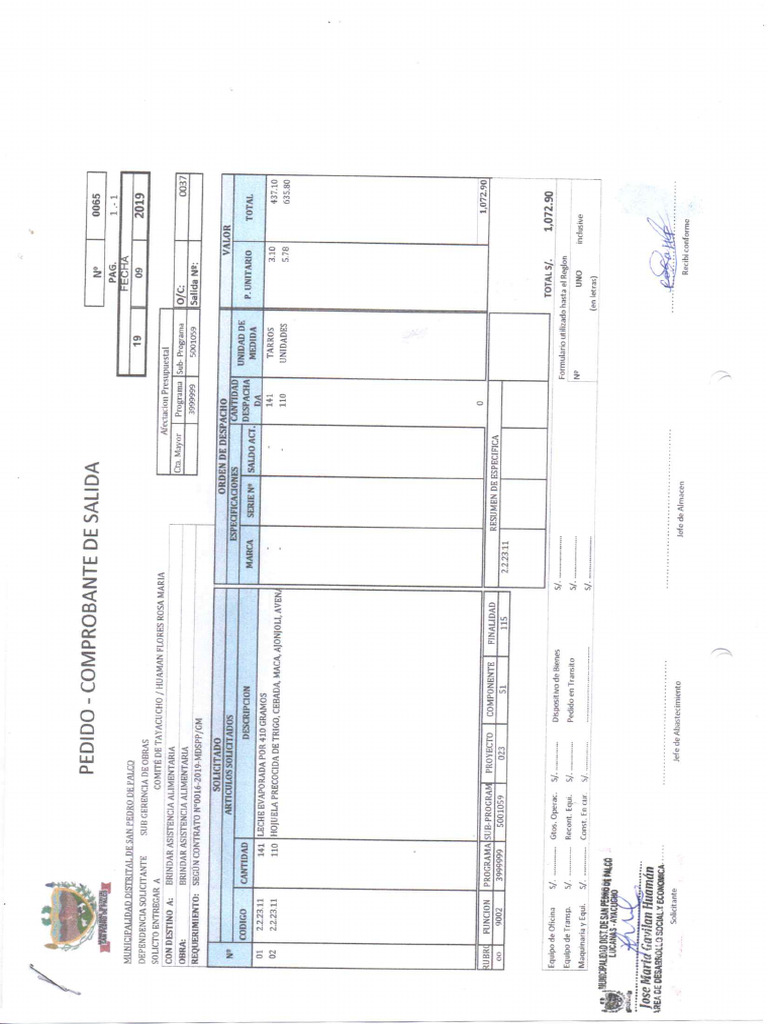 Pecosa Tayacucho 2019 | PDF