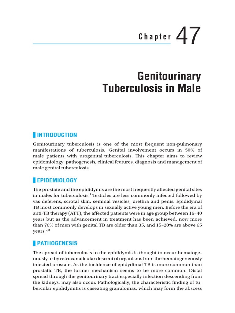 Chapter-47 - Genitourinary Tuberculosis in Male | PDF | Tuberculosis ...