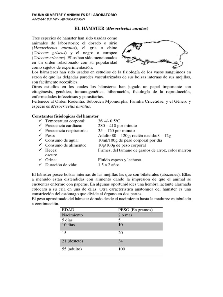 Hámsteres: Características y Manejo en Laboratorio | PDF | Hogar ...