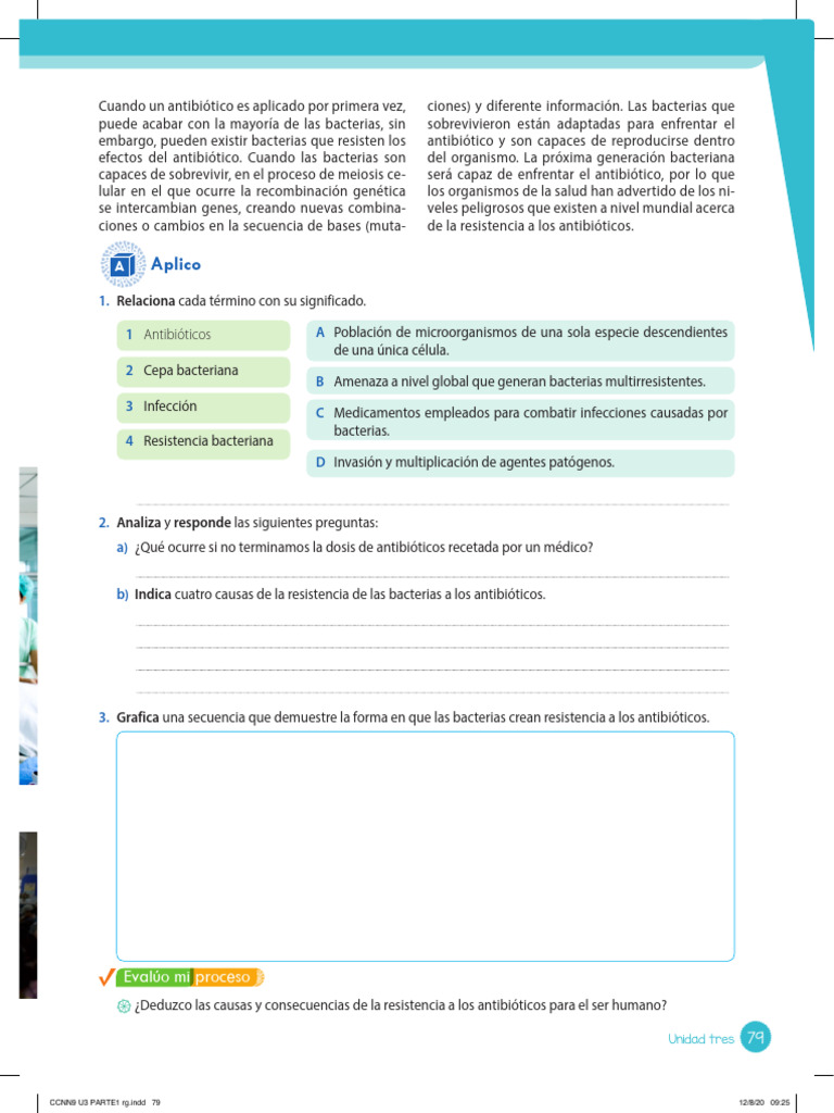 Resistencia Bacteriana | PDF | Resistencia antimicrobiana | Las bacterias