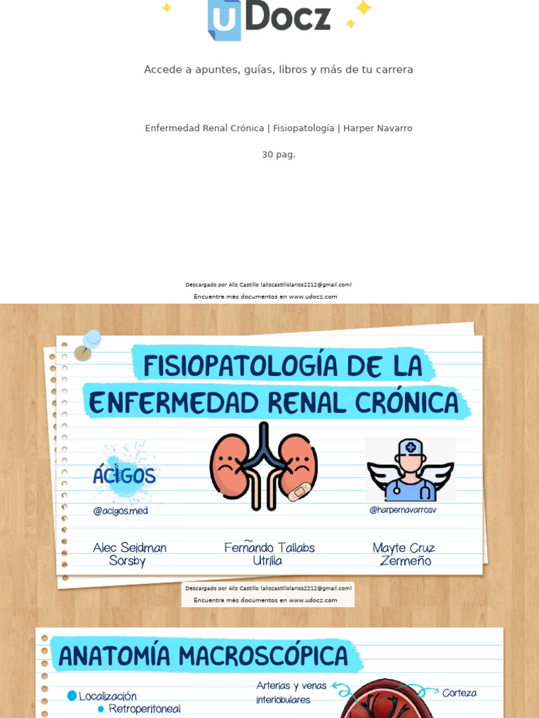 Fisiopatología de Enfermedad Renal Crónica | PDF | Riñón | Anatomía humana