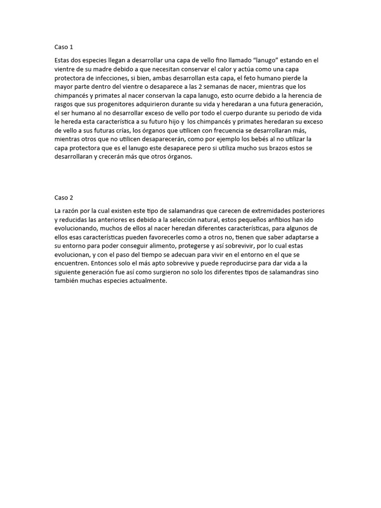 Caso 1 | PDF