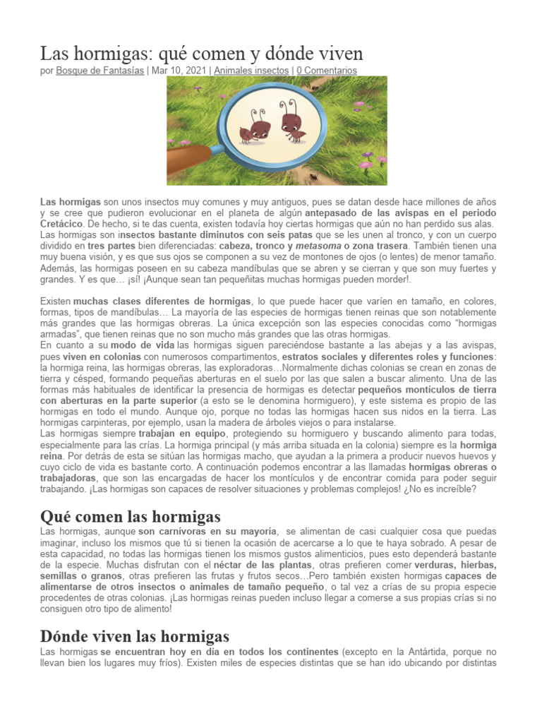 Tom Ogle Motor de 1000 Kilometrosy Mario Bros | PDF | Hormiga | Insectos