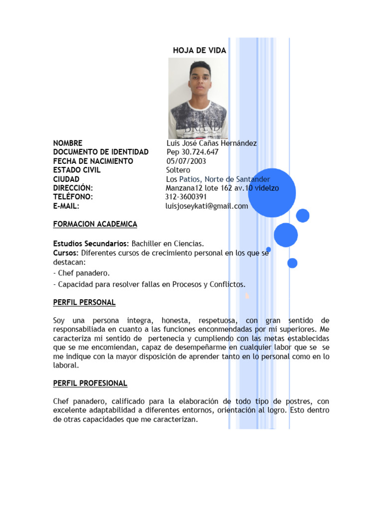 HOJA DE VIDA Luis Jose | PDF